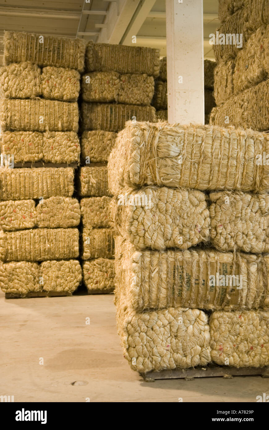 Kenaf High Resolution Stock Photography and Images - Alamy