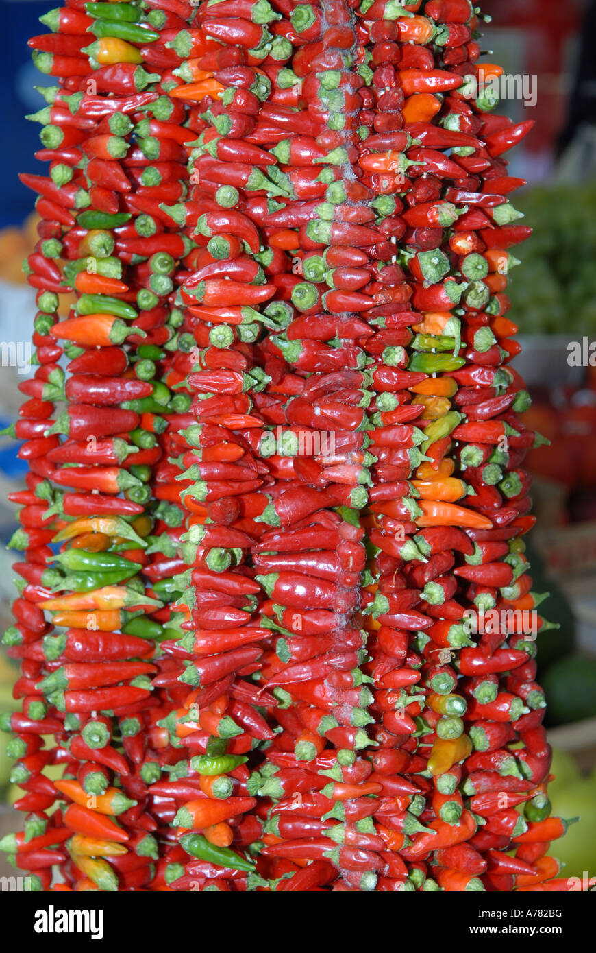 Large dried chile hi-res stock photography and images - Alamy