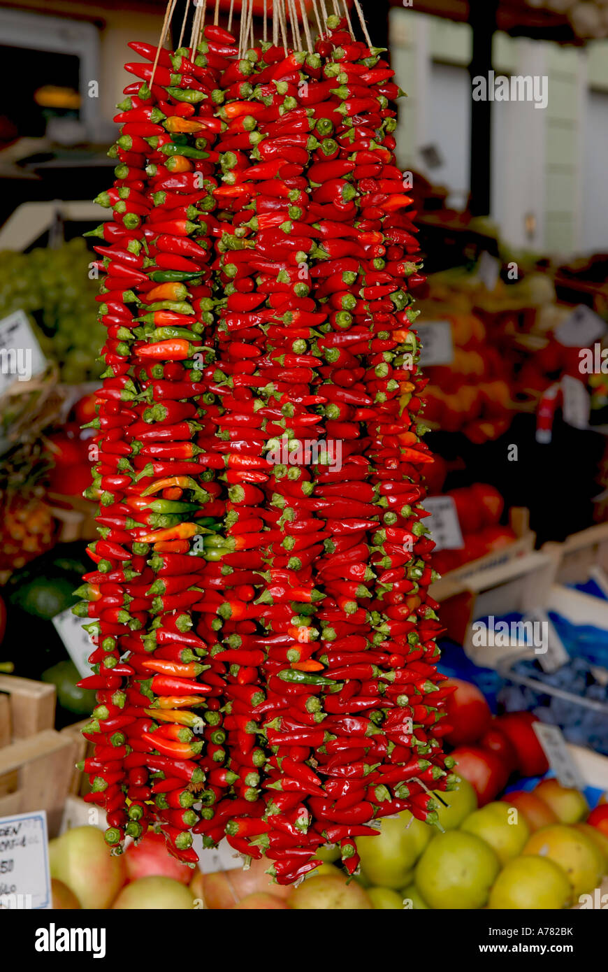 Hanging strings of red chile pepper and garlic Stock Photo - Alamy
