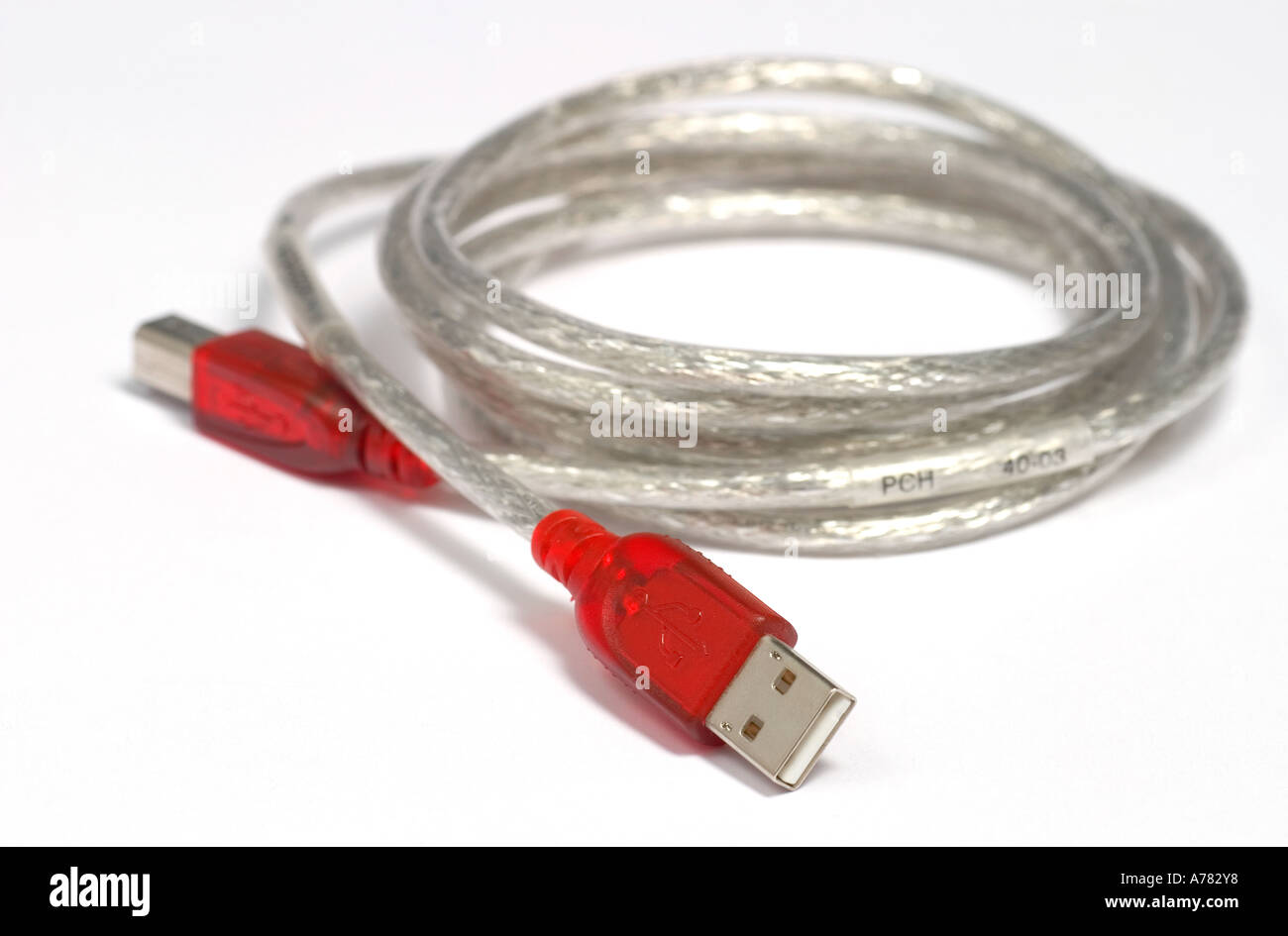 USB Lead on a white background Stock Photo - Alamy