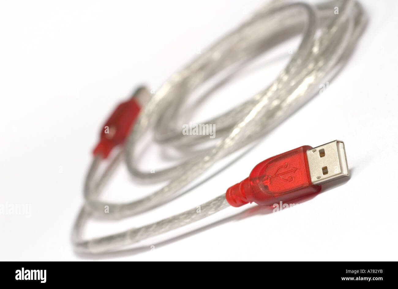 USB Lead on a white background Stock Photo - Alamy