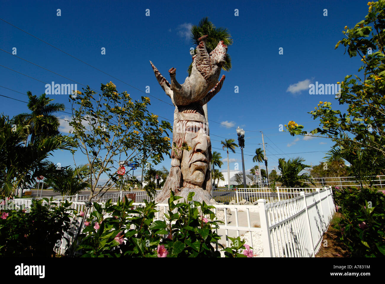 Artist wood carving of an Indian native American bust on an old tree ...