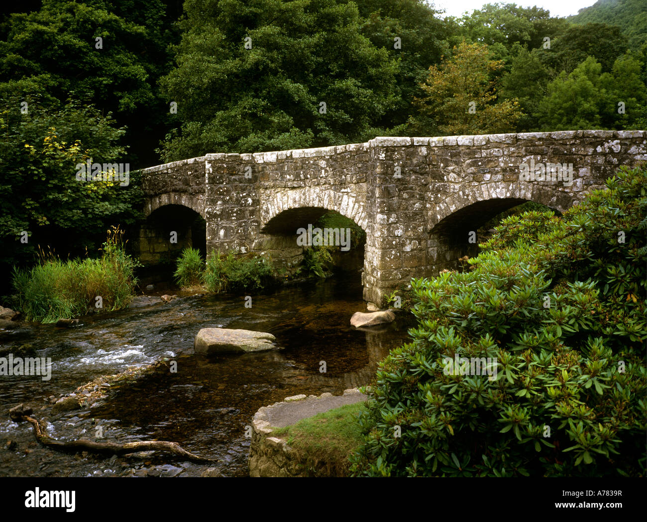 UK Devon River Teigh flowing under Fingle Bridge near Drewsteignton ...