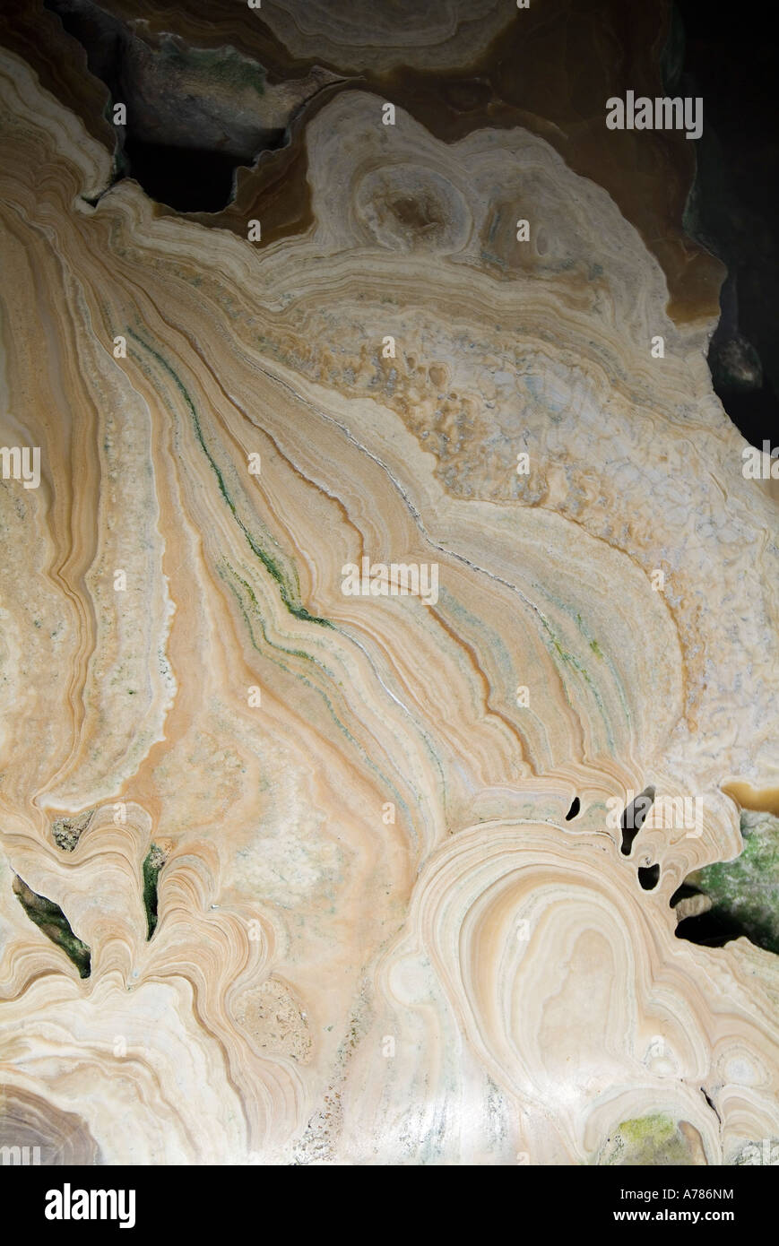 dh ST MICHAELS CAVE GIBRALTAR Cross section of stalactite in St ...