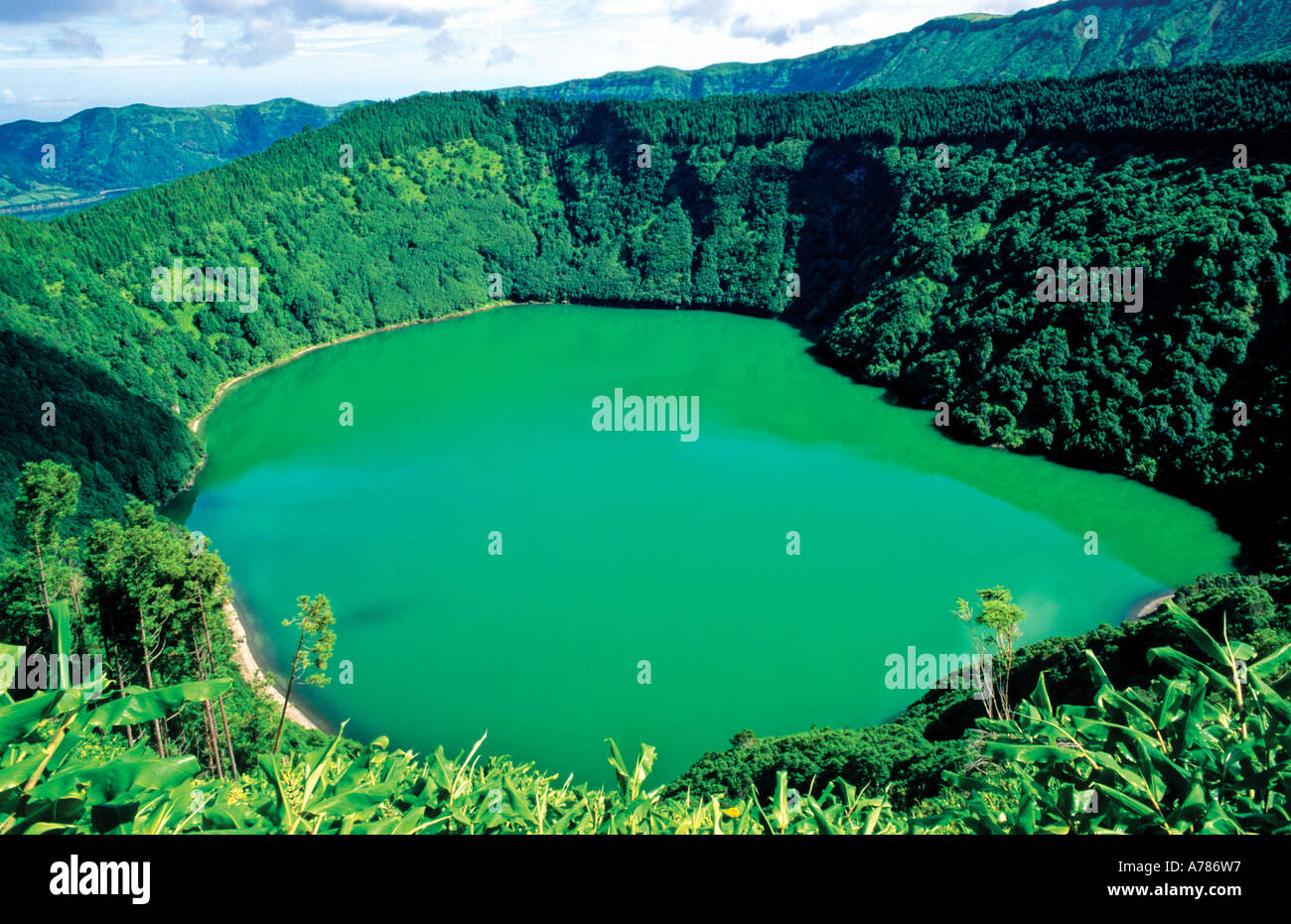 Lake Lagoa Rasa in an old volcanic crater, Sao Miguel Island Azores ...