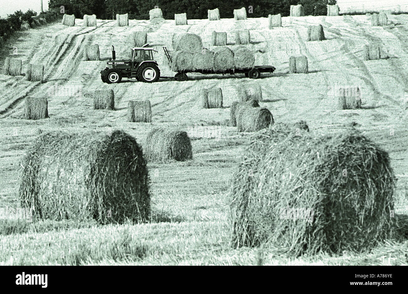 Harvesting straw at Stanwick UK Stock Photo - Alamy