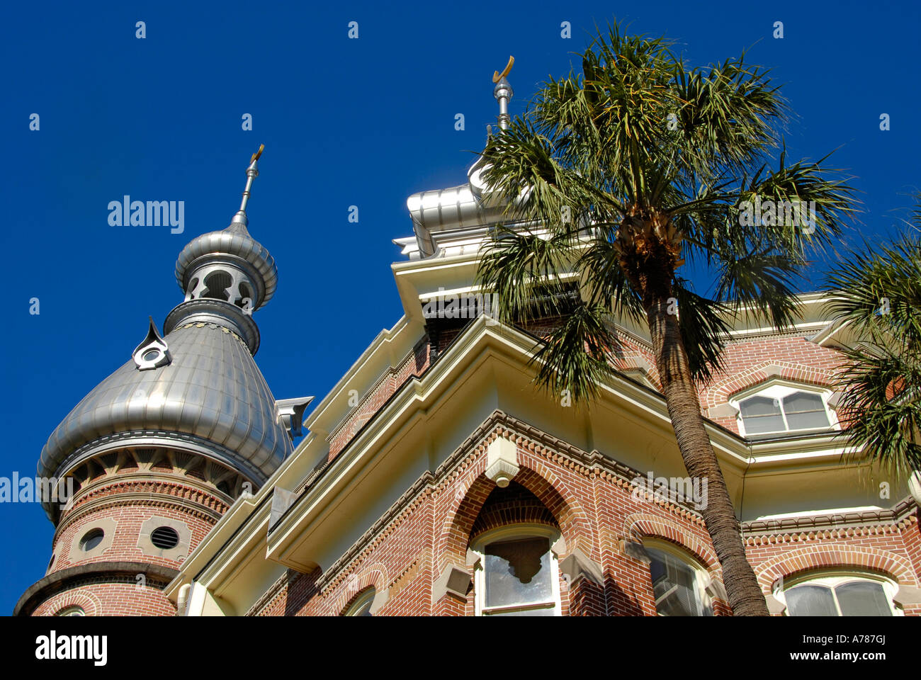 Henry b plant hall hi-res stock photography and images - Alamy