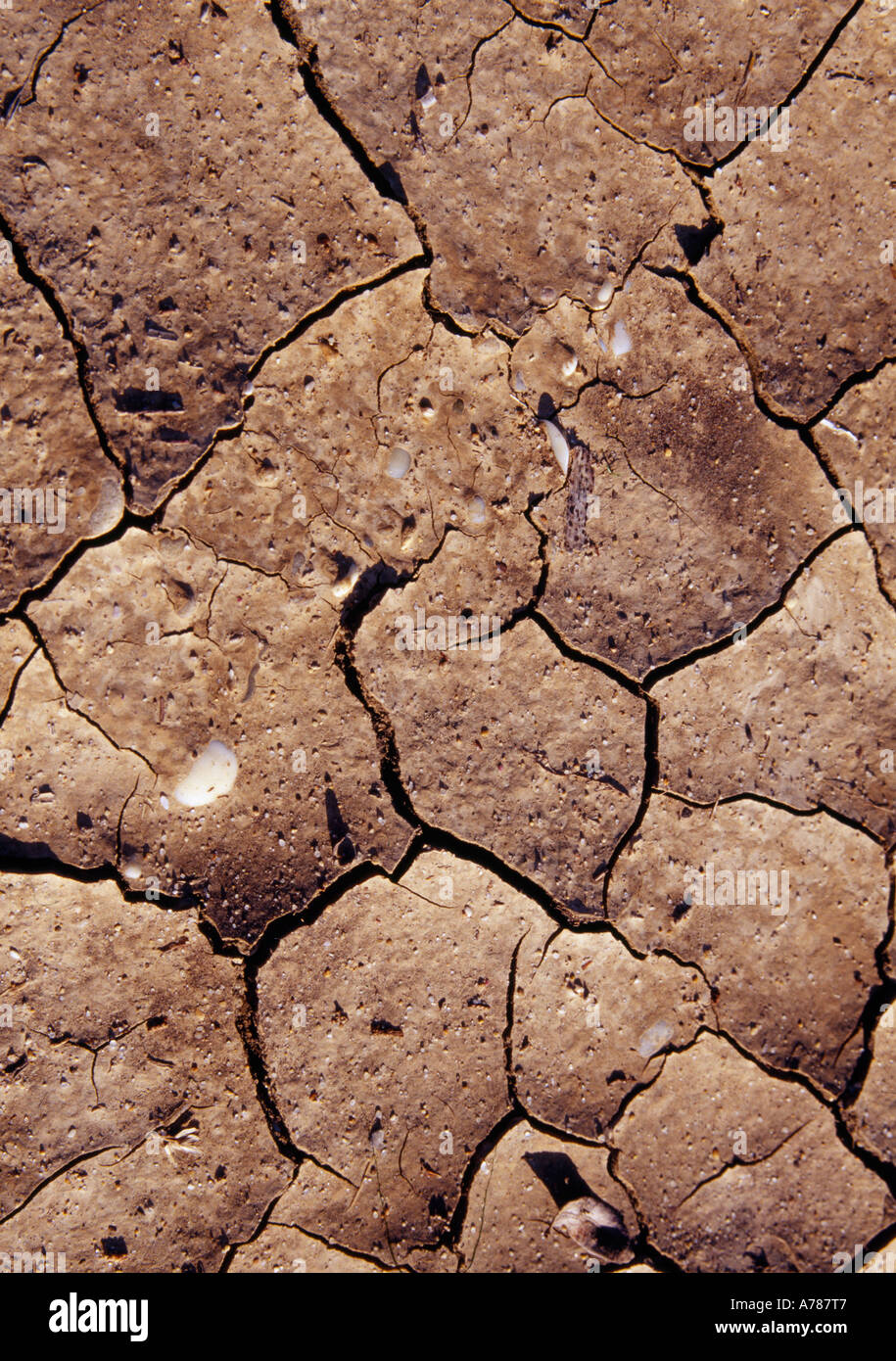 Dry Cracked Desert Soil Stock Photo - Alamy