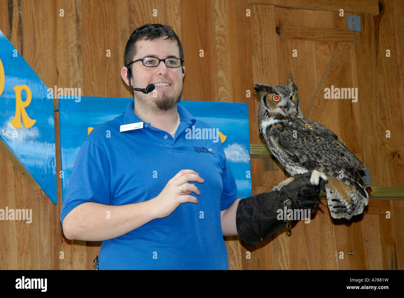 Great Horned Owl on display at the Florida Aquarium in Tampa Florida FL ...
