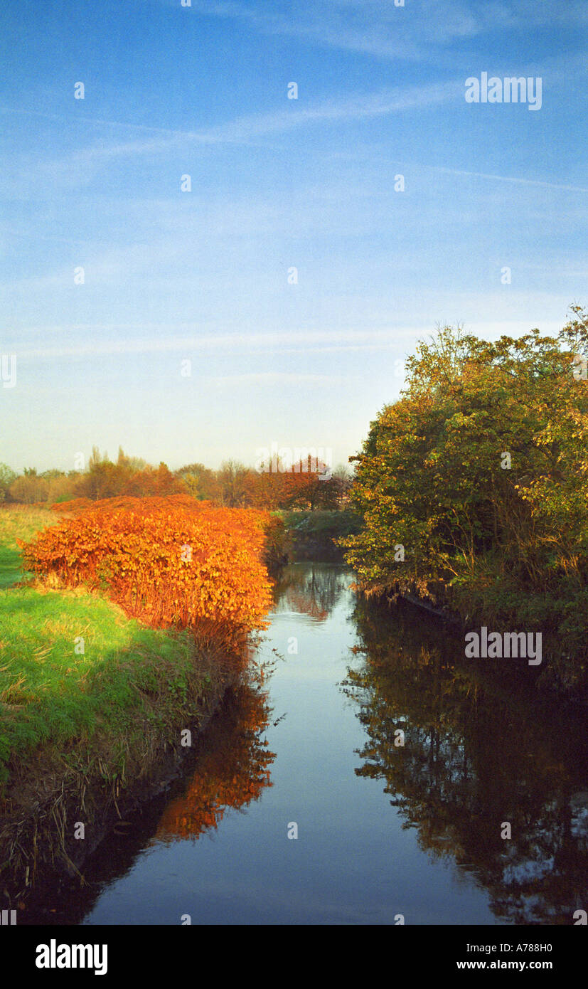 Sankey Valley Park and Sankey Brook, Warrington, Autumn 2005 Stock ...