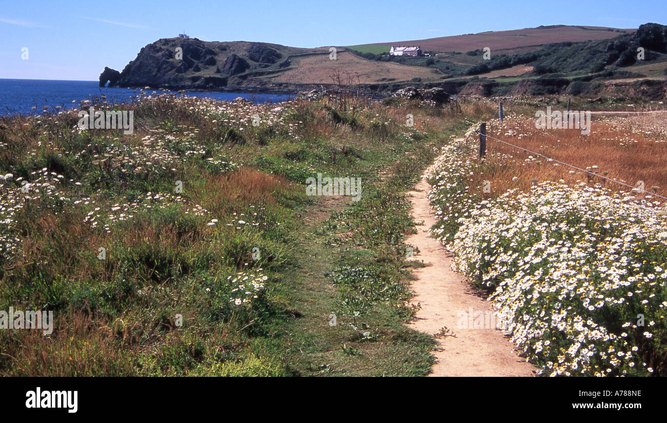 Uk britain england devon prawle point coast guard bright hi-res stock ...