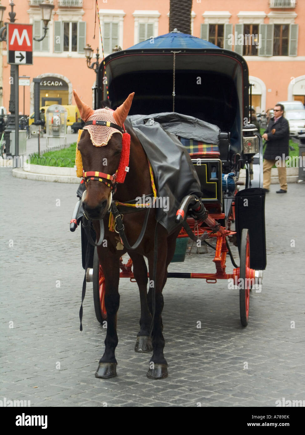 Carriage Rides horse in rome, lazio, italy Stock Photo - Alamy