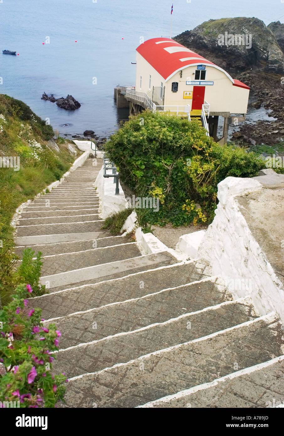 Lifeguard station, Ramsey Sound, Pembrokeshire, Wales Stock Photo - Alamy