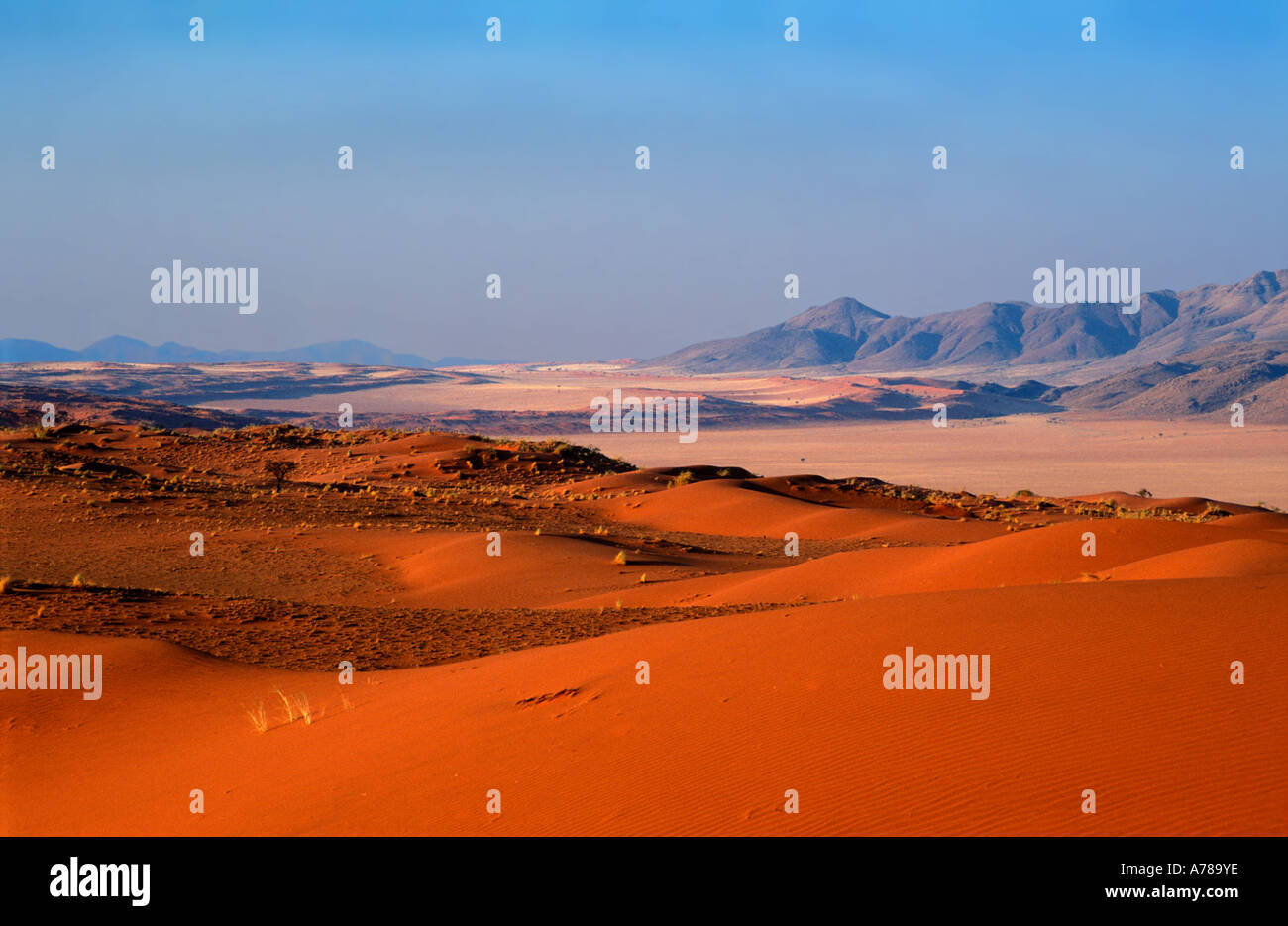 Desert Vista- Namibia Stock Photo - Alamy