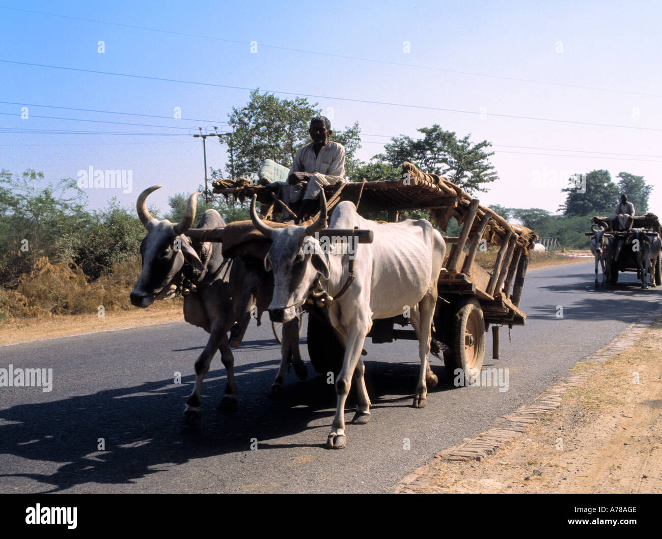 Native Transport. India Stock Photo - Alamy