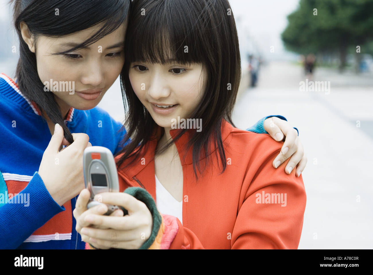 Two young women friends looking at cell phone together Stock Photo - Alamy