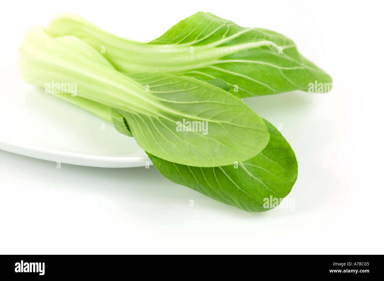 Pak choi white stem hi-res stock photography and images - Alamy