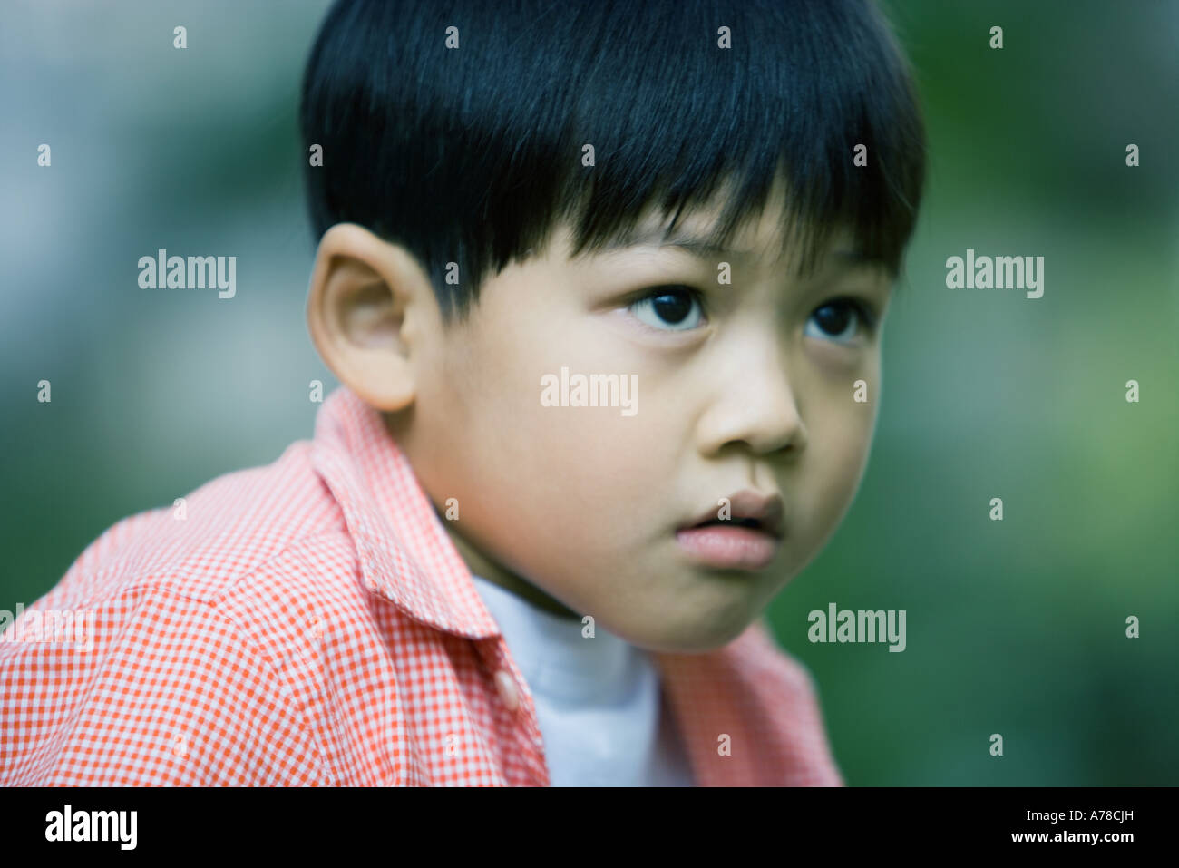 Boy, head and shoulders, portrait Stock Photo - Alamy