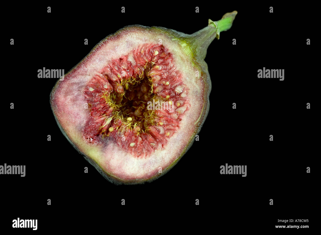 Fruit cut open hi-res stock photography and images - Alamy