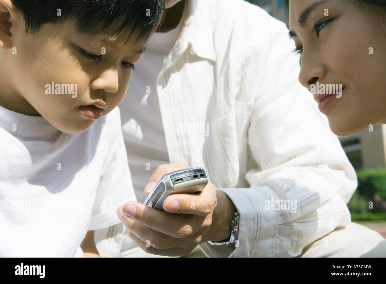 Two moms cells hi-res stock photography and images - Alamy