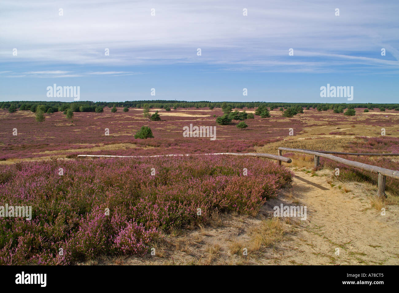 Lower heathland hi-res stock photography and images - Alamy