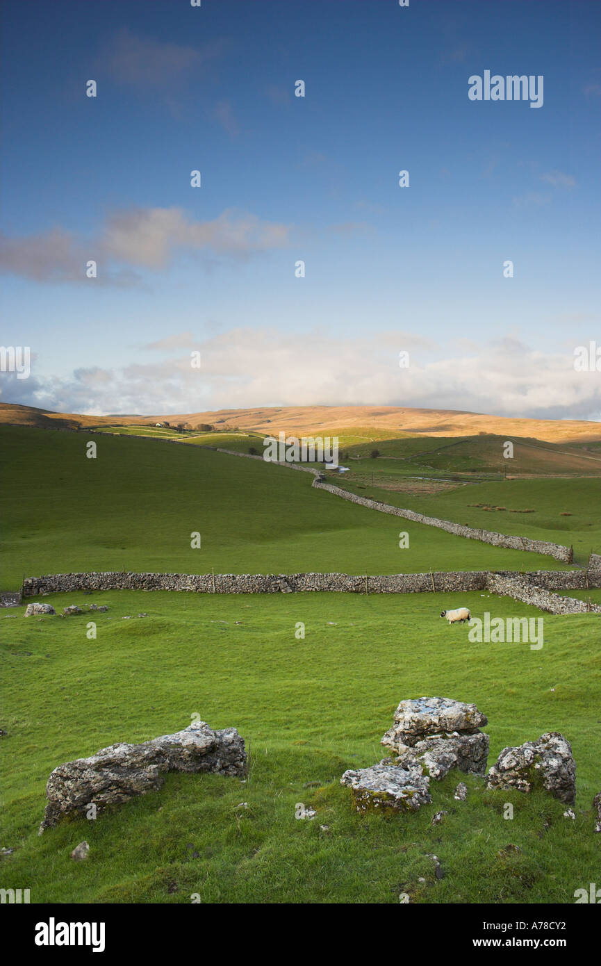 typical Yorkshire Dales national park scenery Stock Photo - Alamy