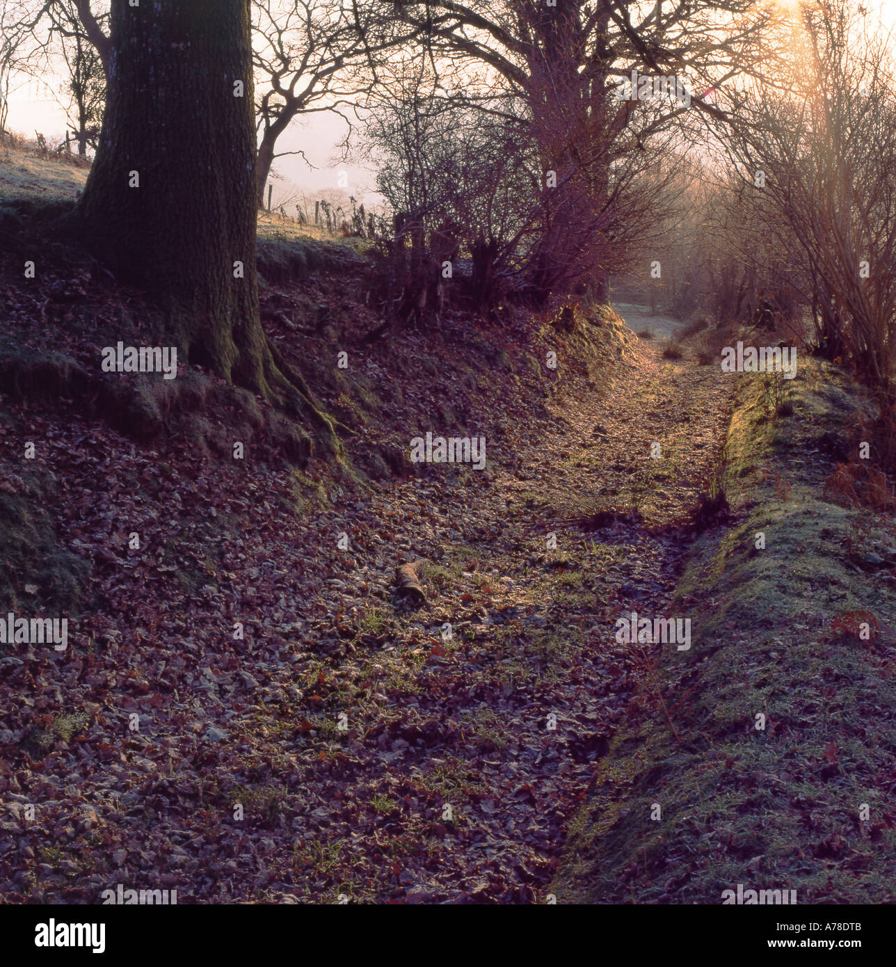 Old country lane hi-res stock photography and images - Alamy