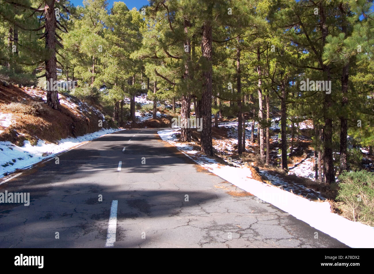 Roque de los muchachos road hi-res stock photography and images - Alamy