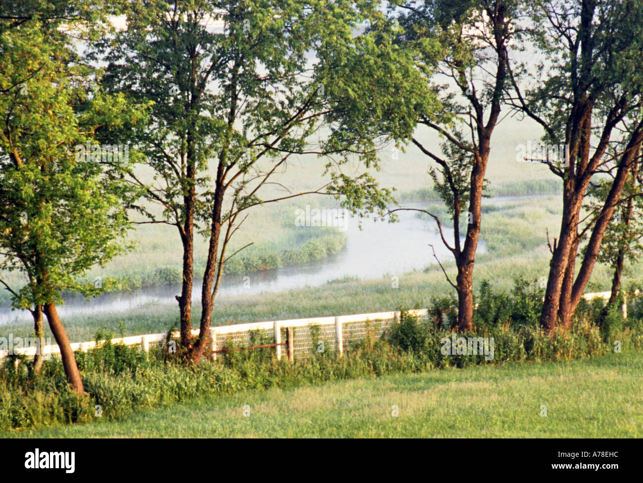 Sunrise Pasture & Stream Stock Photo - Alamy