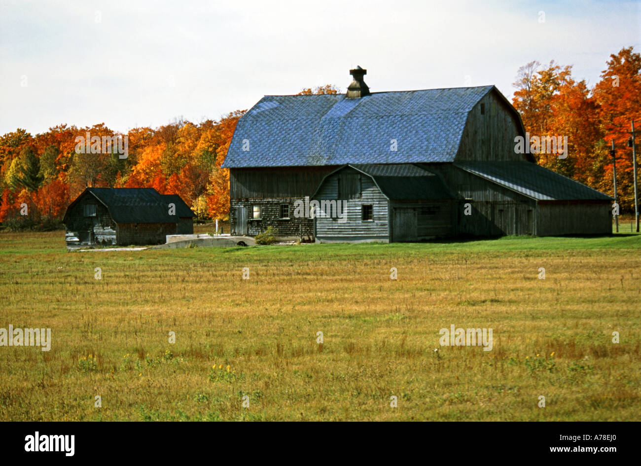 Autumn Barn & Foliage Stock Photo - Alamy