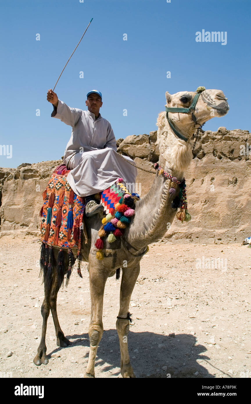 Couple at the giza pyramids hi-res stock photography and images - Alamy