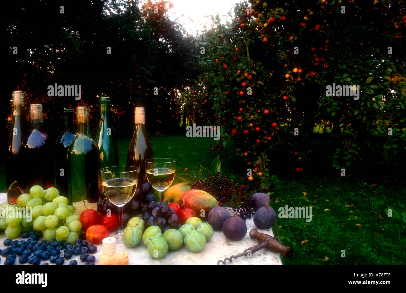 Wine bottling uk hi-res stock photography and images - Alamy