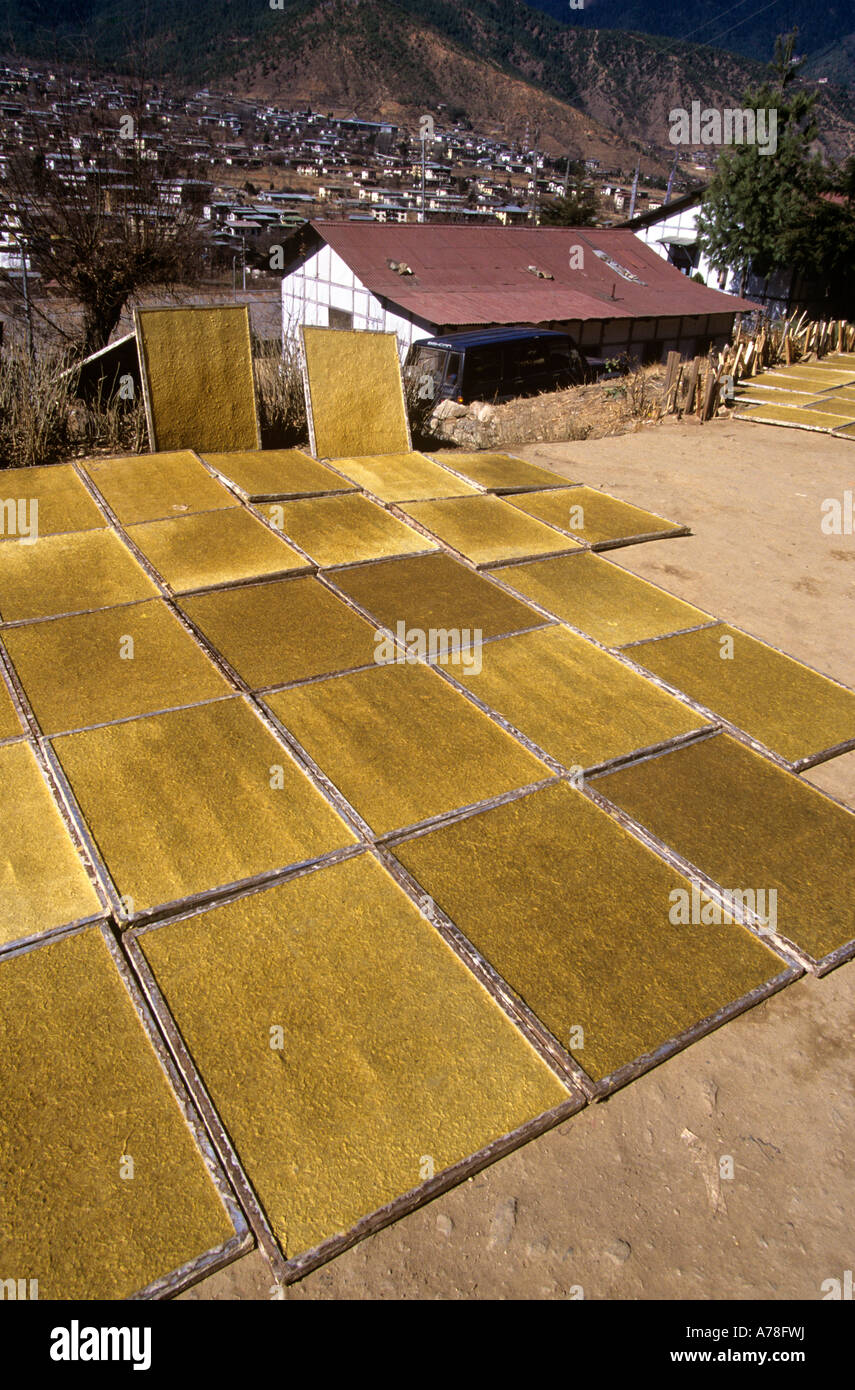Bhutan Thimpu Crafts Jungshi paper factory papermaking deckles drying ...
