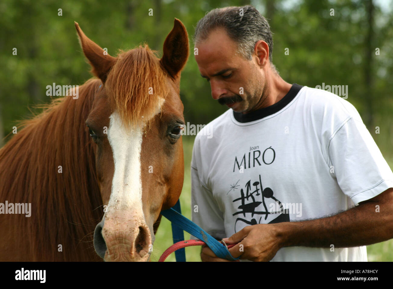 A man and his horse Stock Photo - Alamy