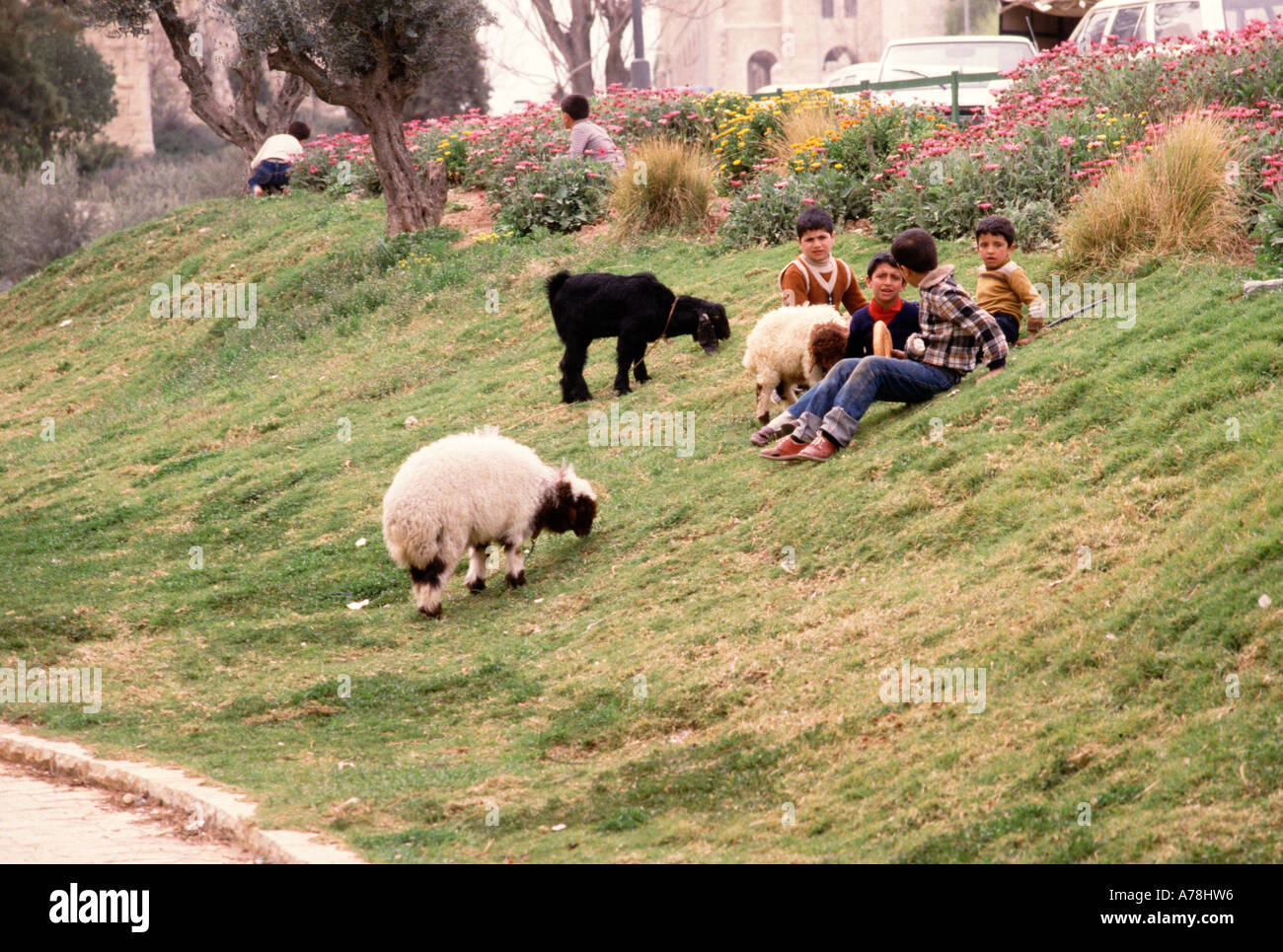 Palestinian boys play in hi-res stock photography and images - Alamy