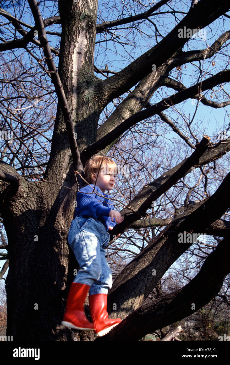 Tomboy, girl in a tree Stock Photo - Alamy