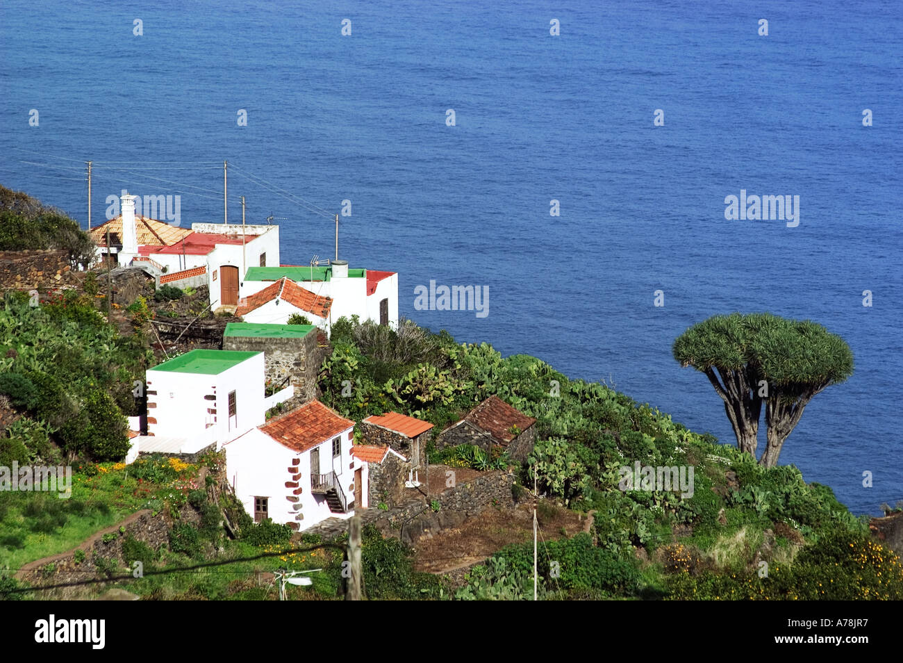 El Tablado / La Palma / Canaray Islands Stock Photo - Alamy