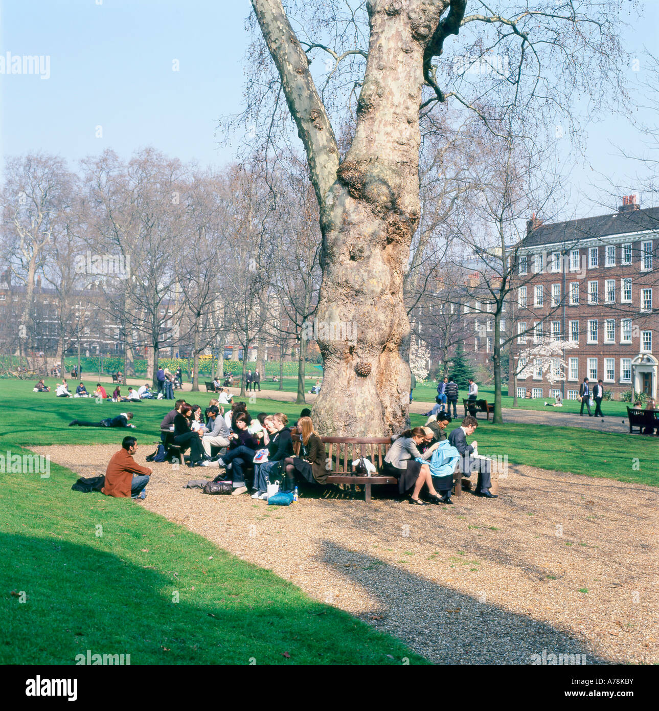 Seating around tree hi-res stock photography and images - Alamy