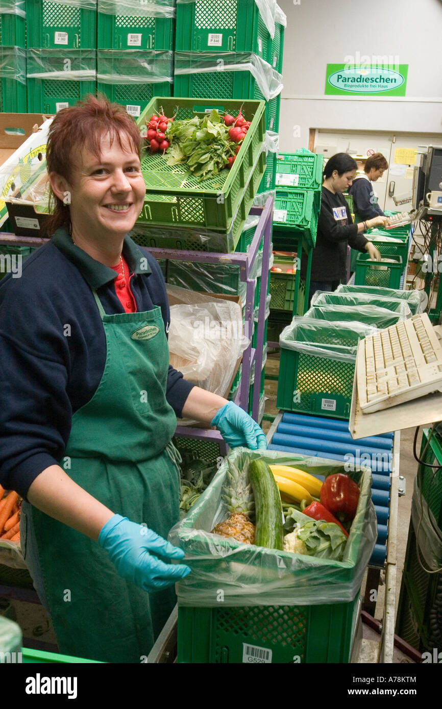 workers packing boxes with organic vegetables and fruit for daily ...