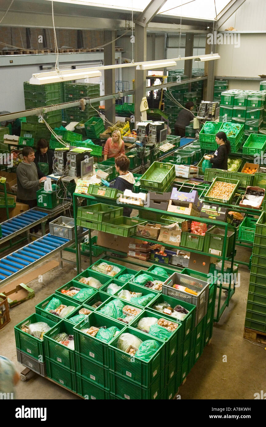 workers packing boxes with organic vegetables and fruit for daily ...