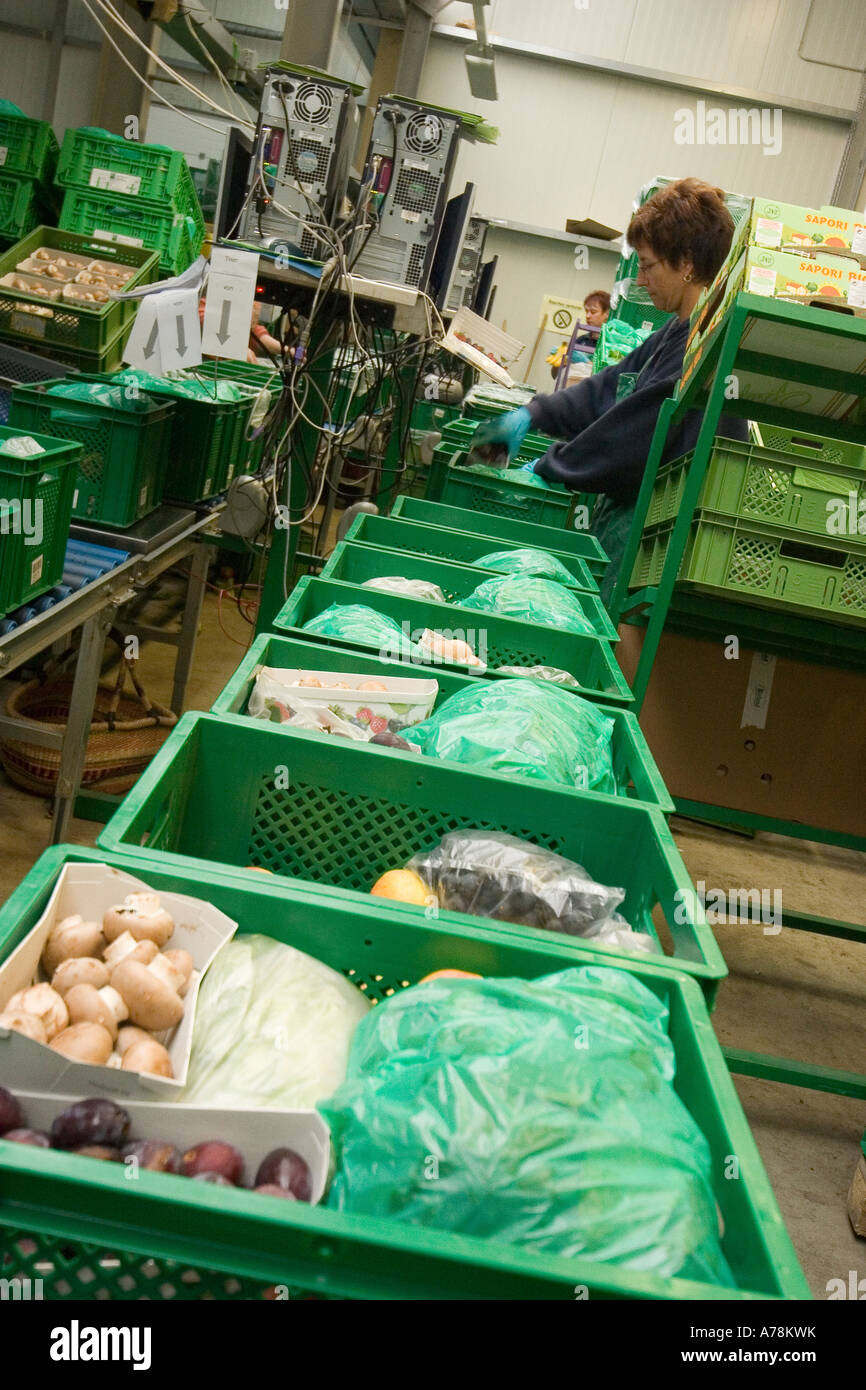 workers packing boxes with organic vegetables and fruit for daily ...