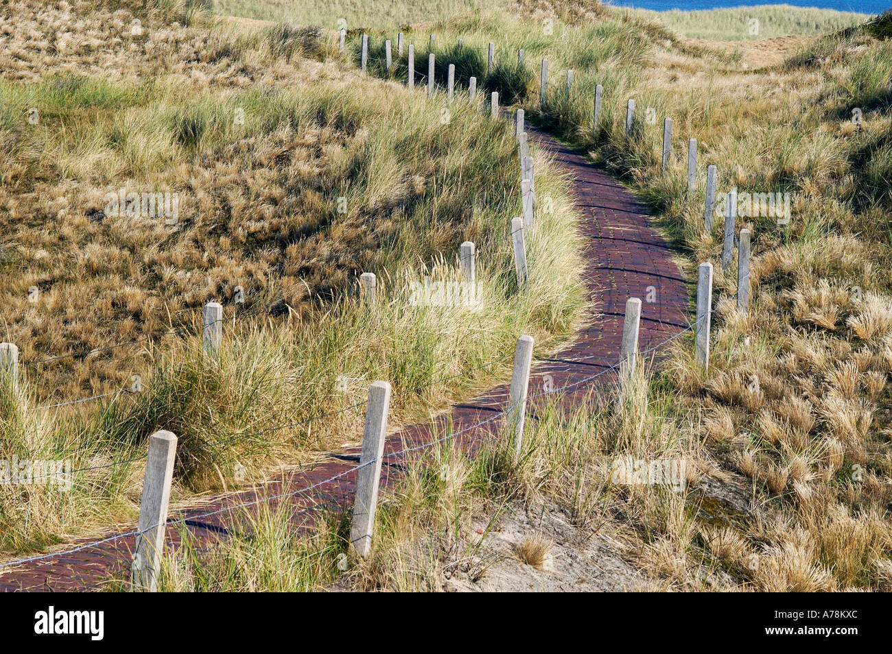 path in dunes Stock Photo - Alamy