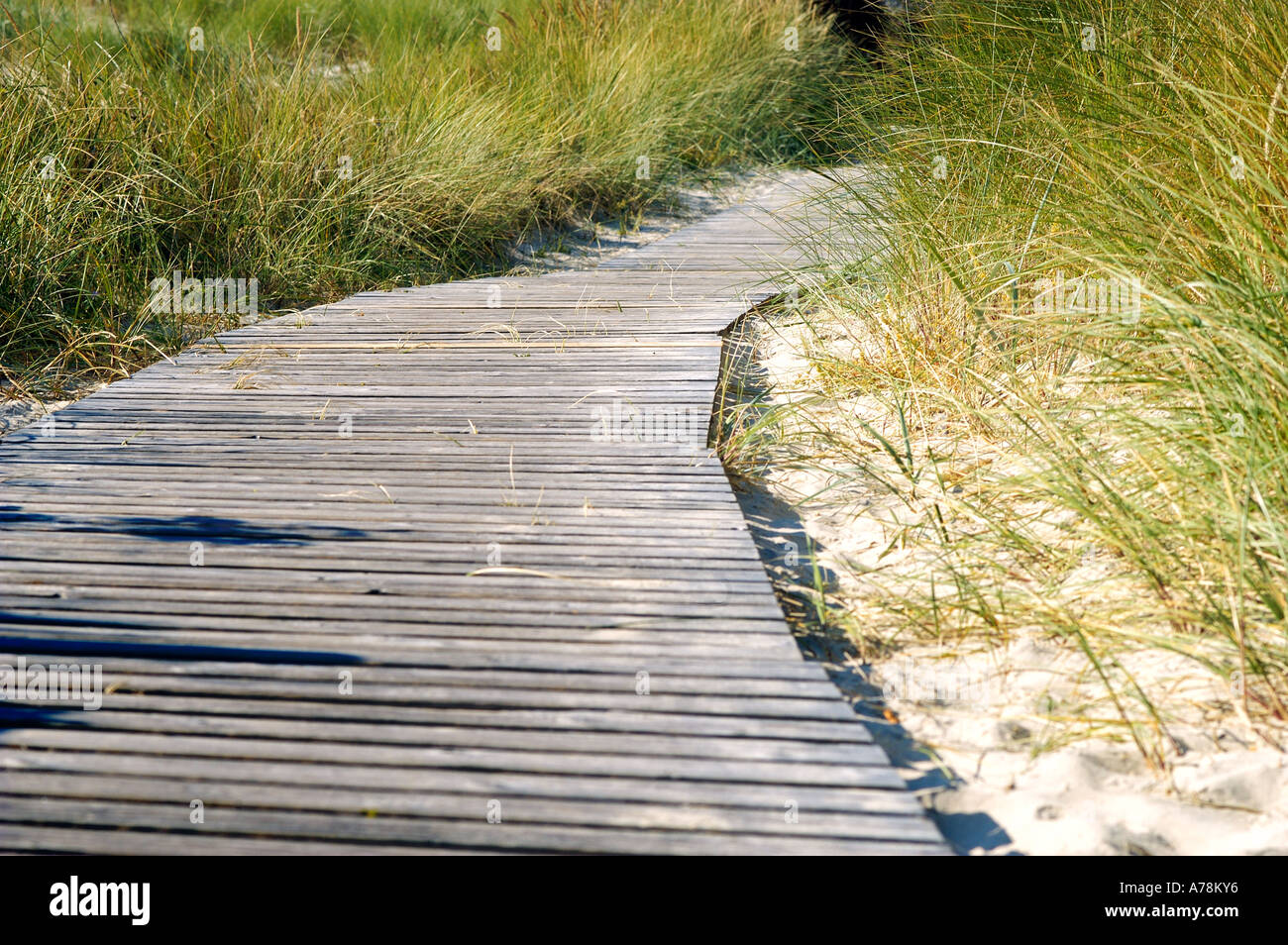 Wodden path hi-res stock photography and images - Alamy