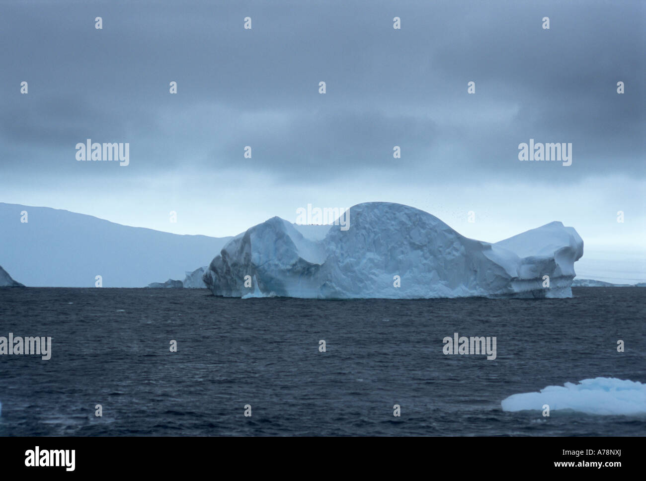 large icebergs, floating in the sea, Antarctica Stock Photo - Alamy