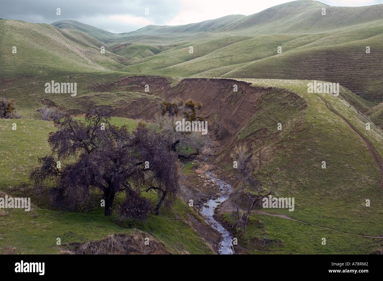 Del puerto canyon hi-res stock photography and images - Alamy