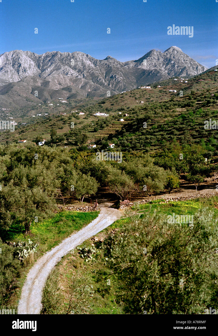 Grove Lane High Resolution Stock Photography and Images - Alamy