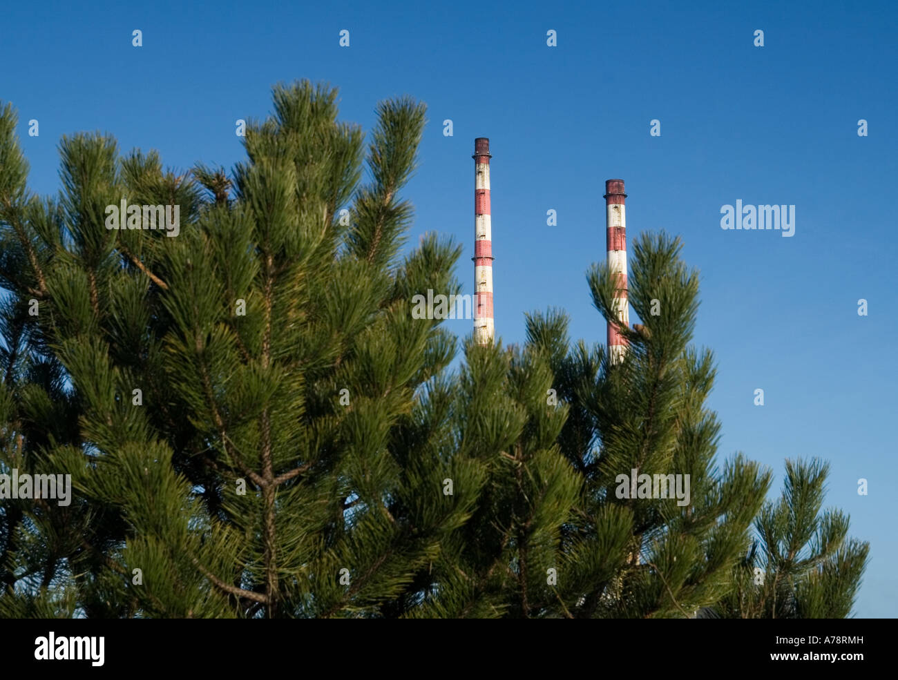 Poolbeg cooling towers hidden behind foliage in the immediate area ...