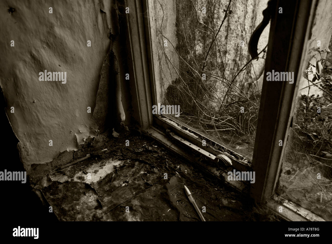 An old window rotting on both the outside and inside with foliage ...