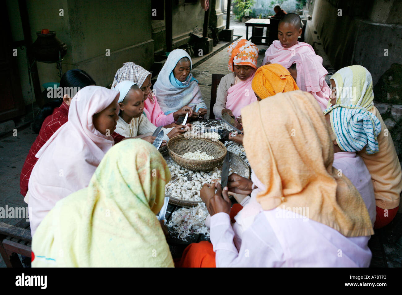 Nuns pelling garlic, sitting cozy together (Burma, Myanmar Stock Photo ...
