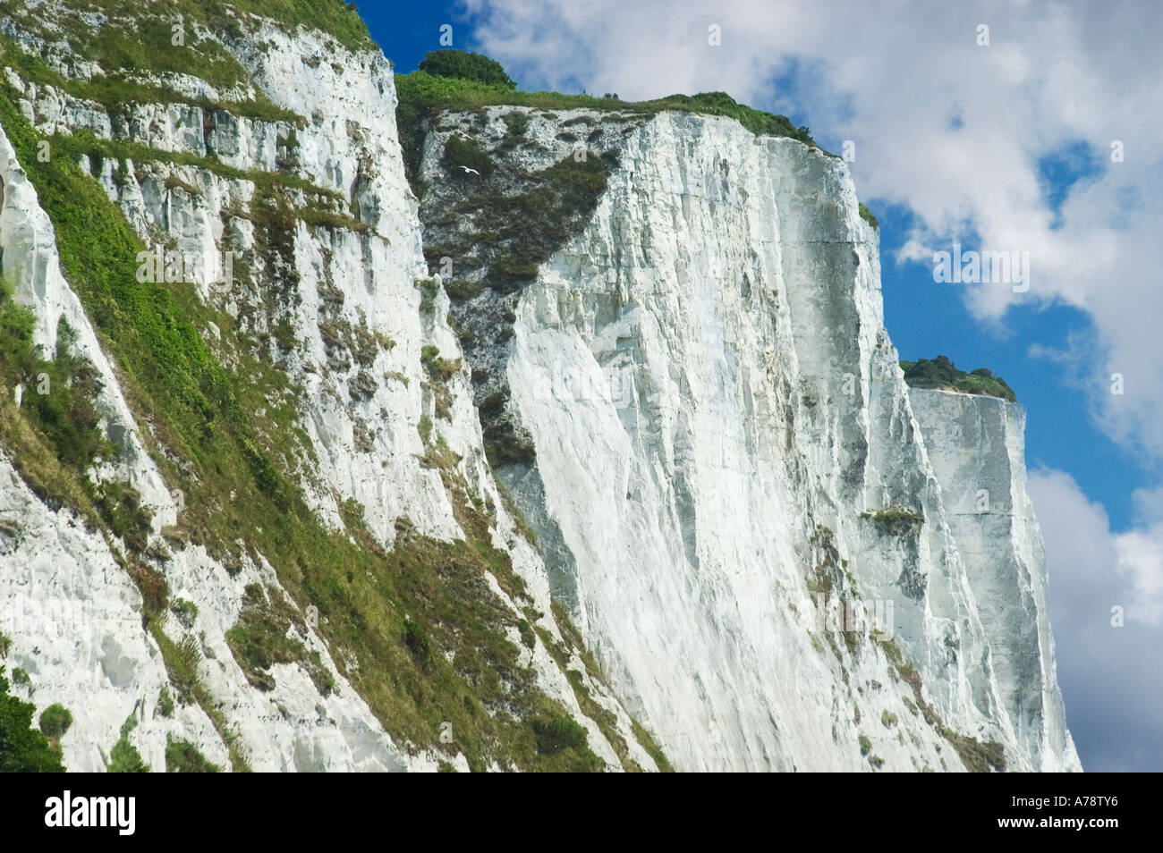 Cliffs of Dover Stock Photo - Alamy